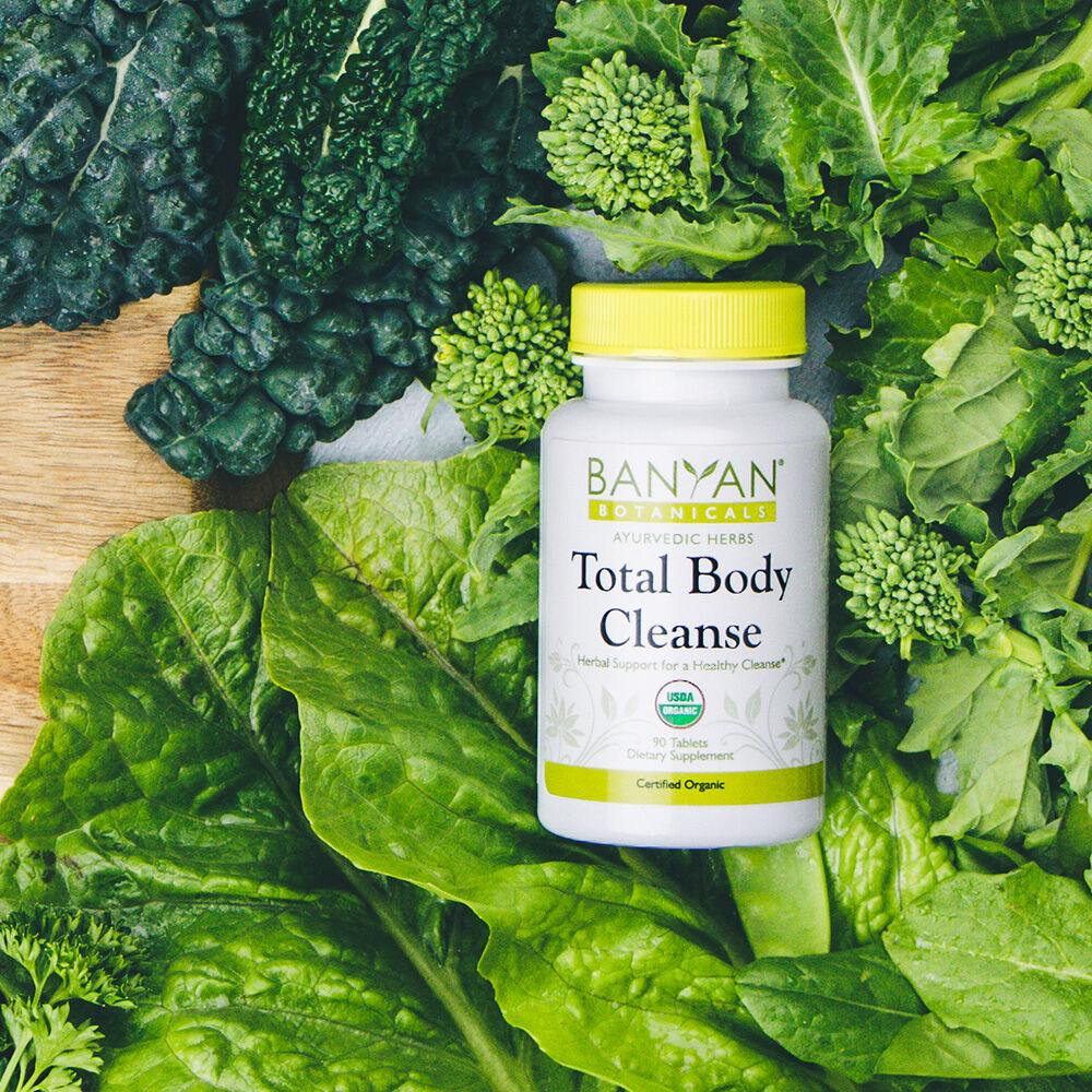 Total Body Cleanse | Joyful Treasures